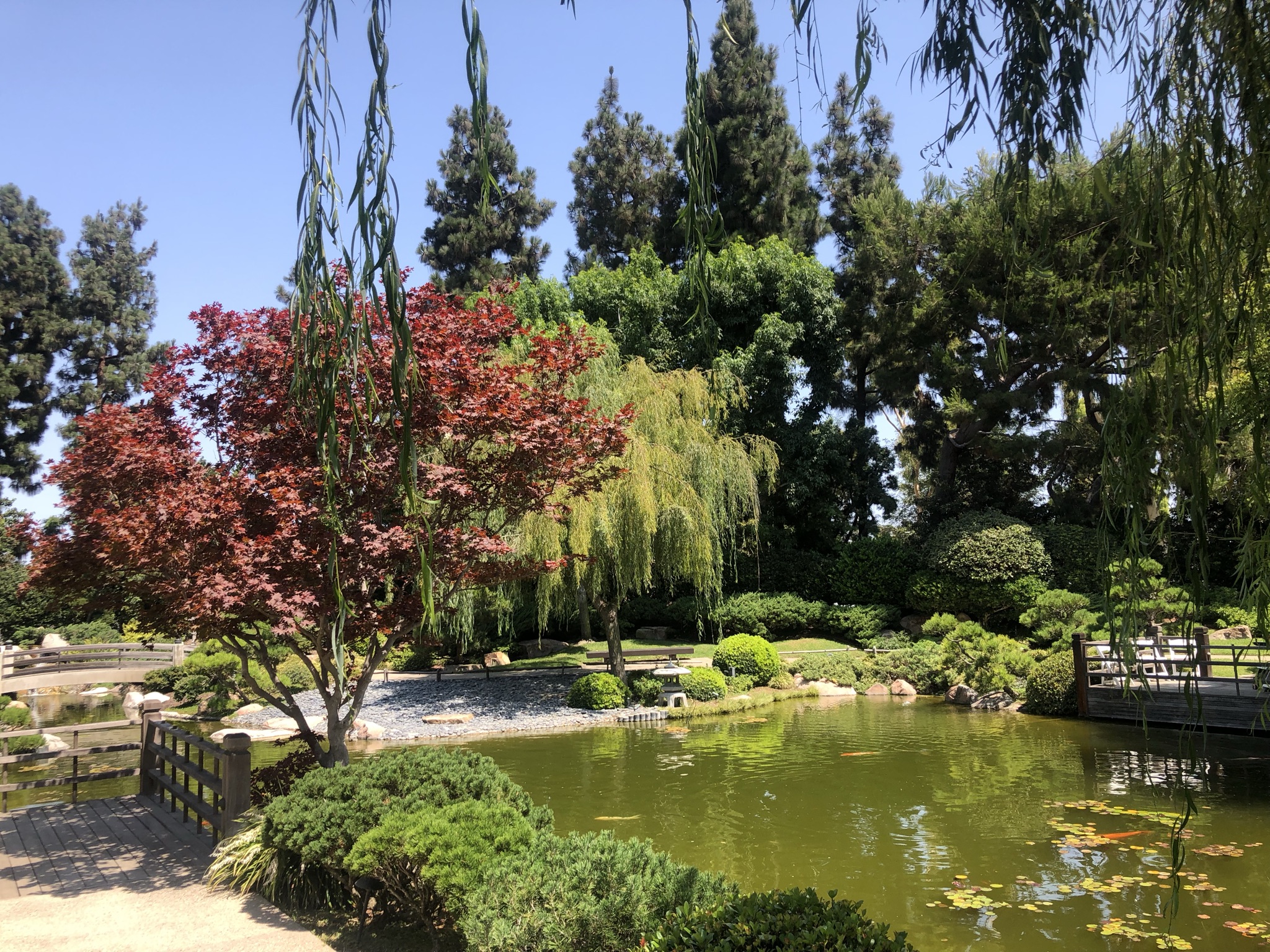 ASCEND | California State University Long Beach