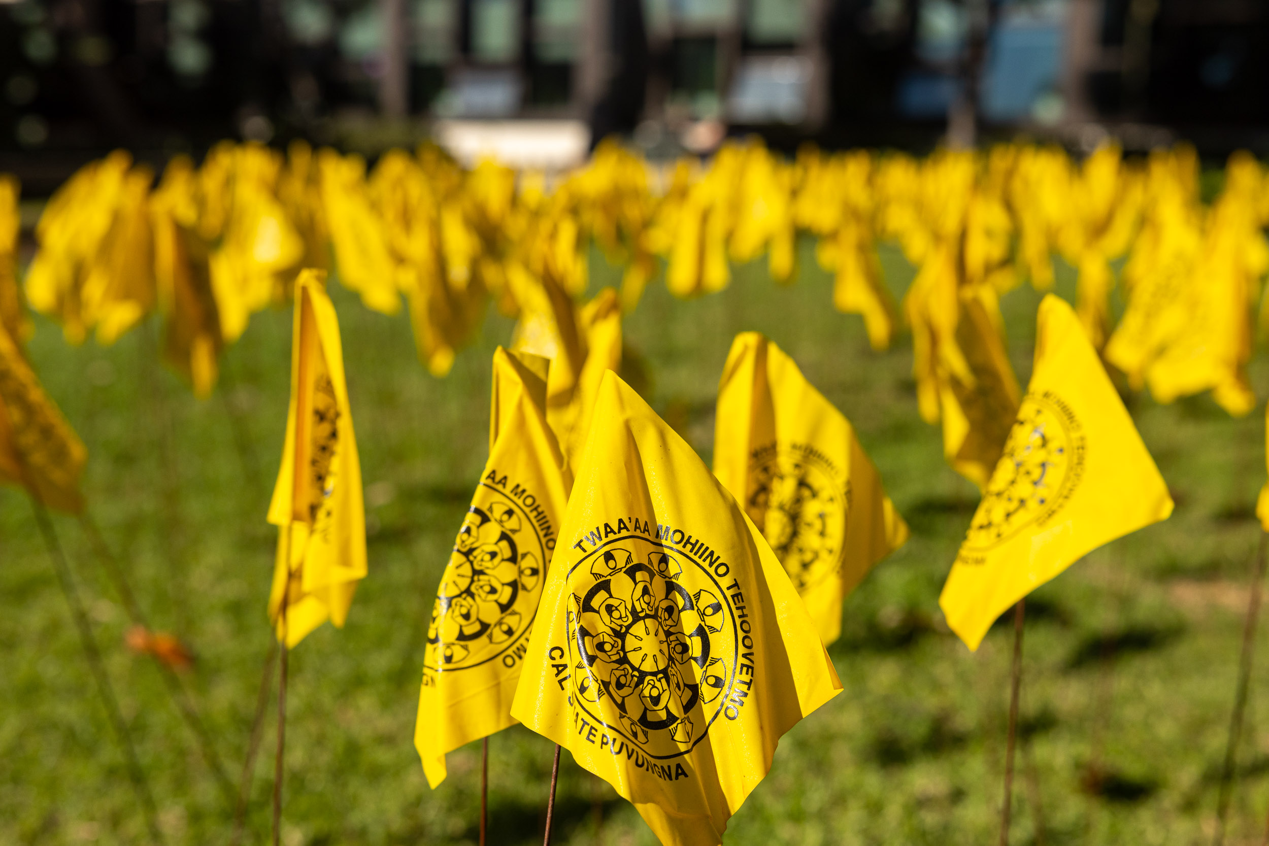 CSULB flag installation pays homage to lost lives of Native Americans ...