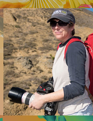 Film & Electronic Arts Assistant Professor Susan Bloom Presents at ...