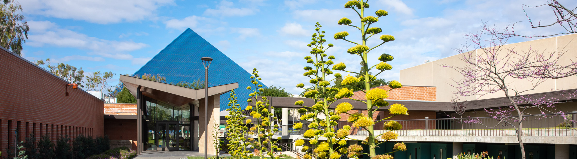 March 2023: Accomplishments of the CSULB community | California State ...