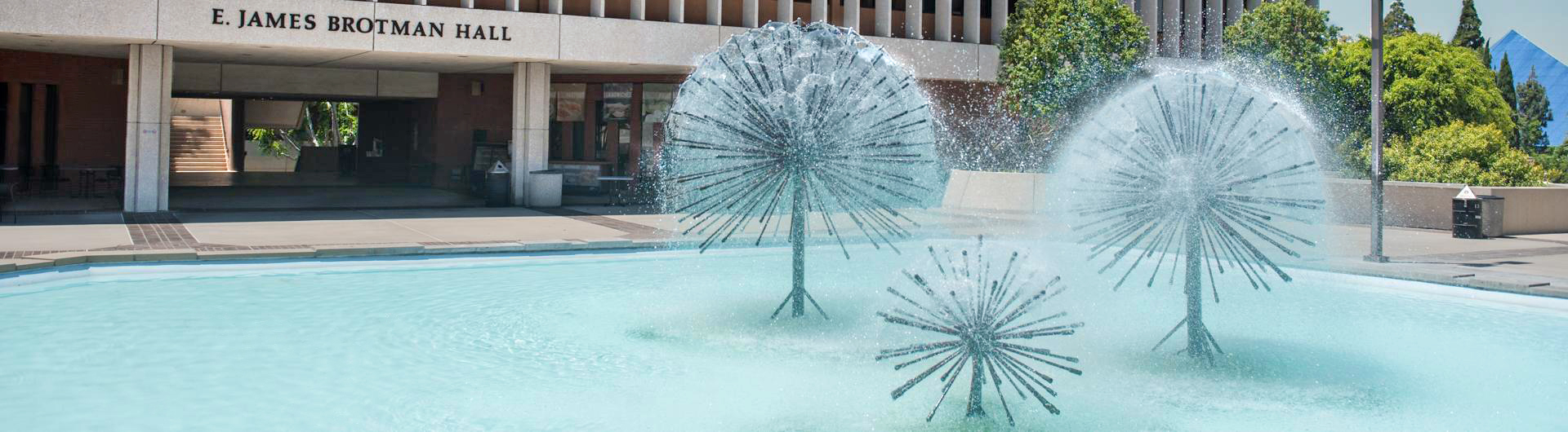 November 2023: Accomplishments of the CSULB community | California ...