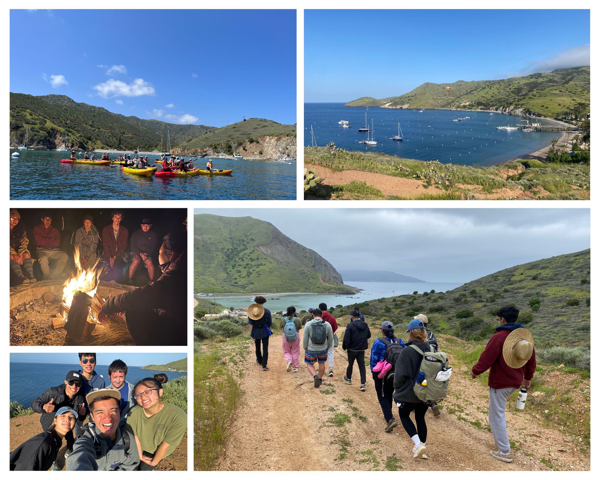 News | California State University Long Beach