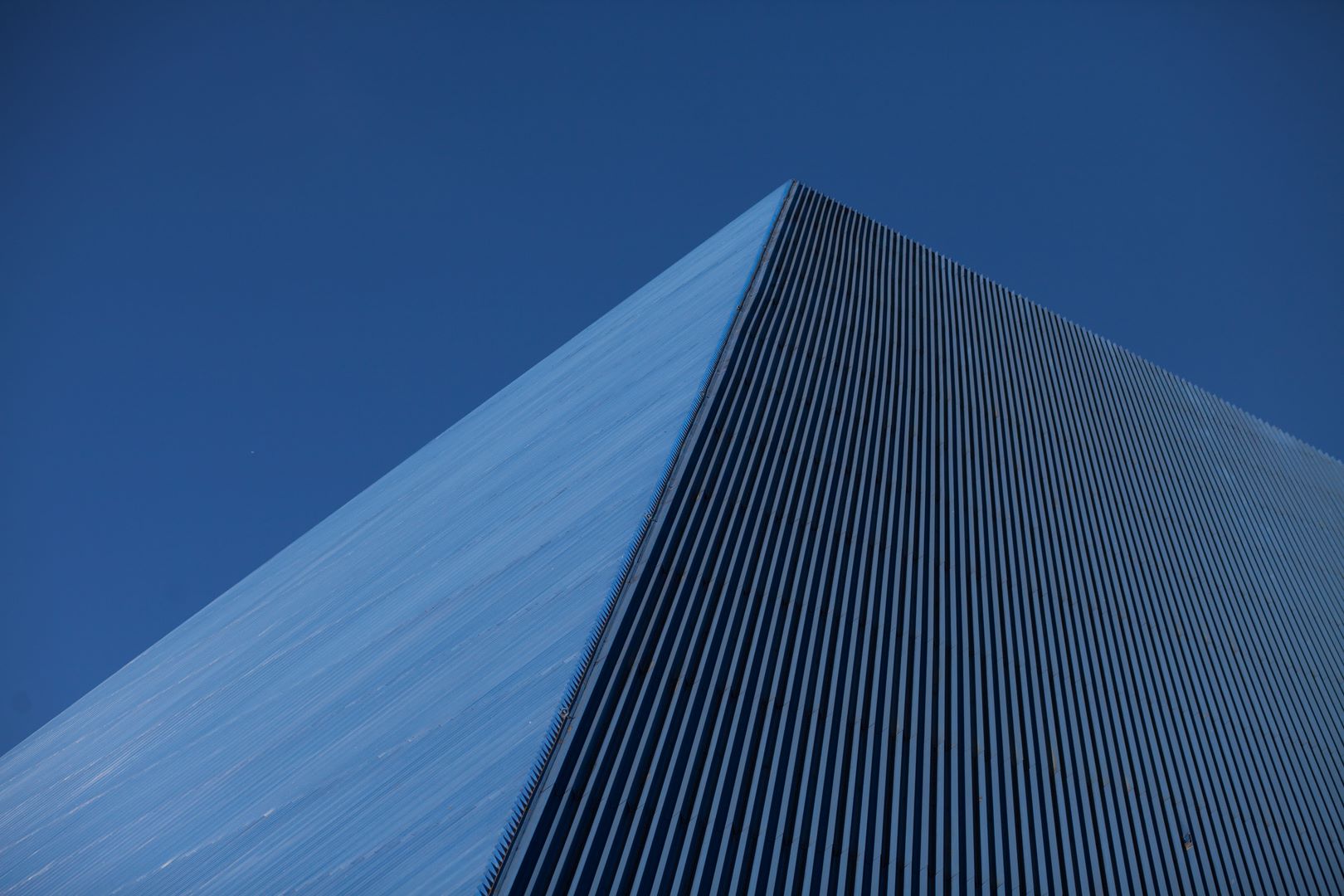 CSULB Announces 66 Faculty for Tenure and Promotion | California State ...