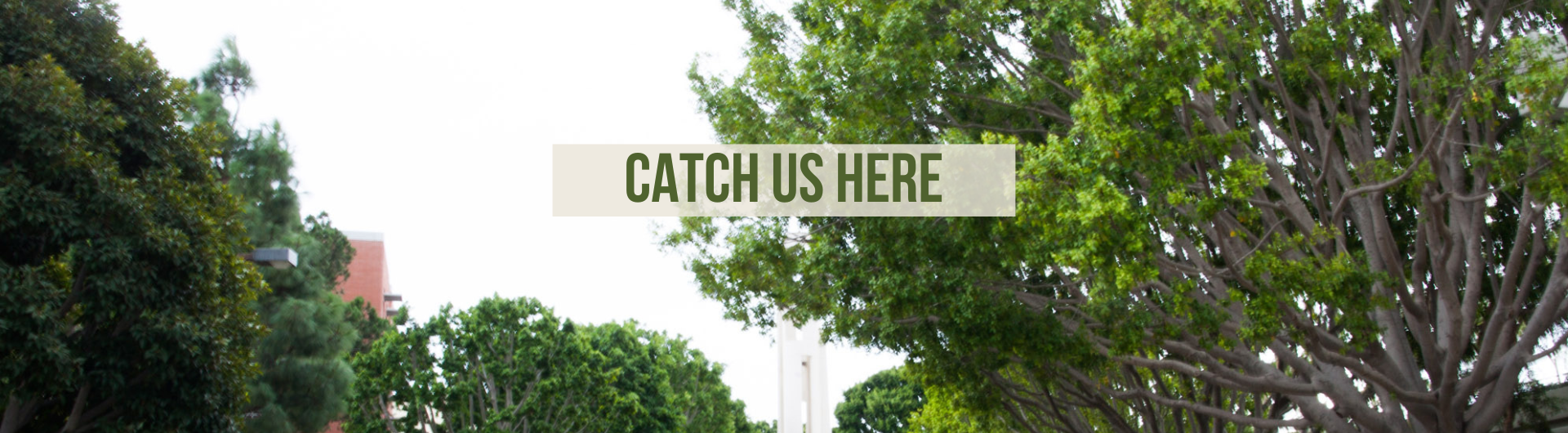 | California State University Long Beach