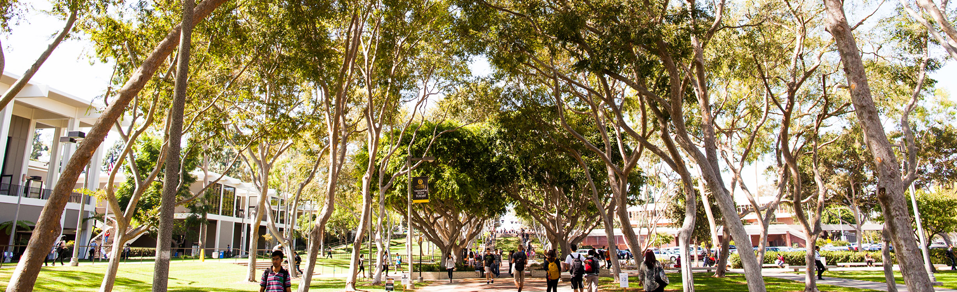 Sustainability Fellows Program | California State University Long Beach