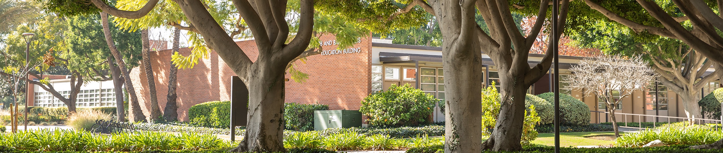 College of Education announces new associate dean | California State ...