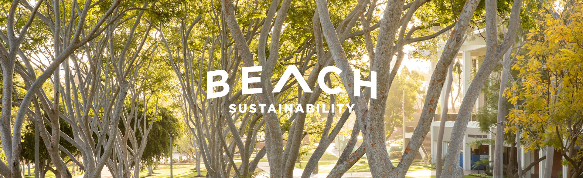 Ways to Get Involved in Sustainability at The Beach | California State ...