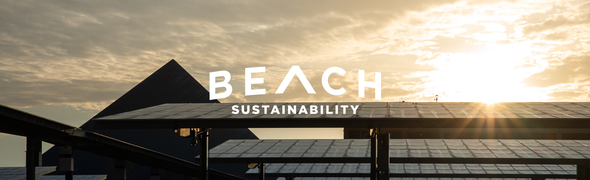 Picture-Perfect Green Grads | California State University Long Beach