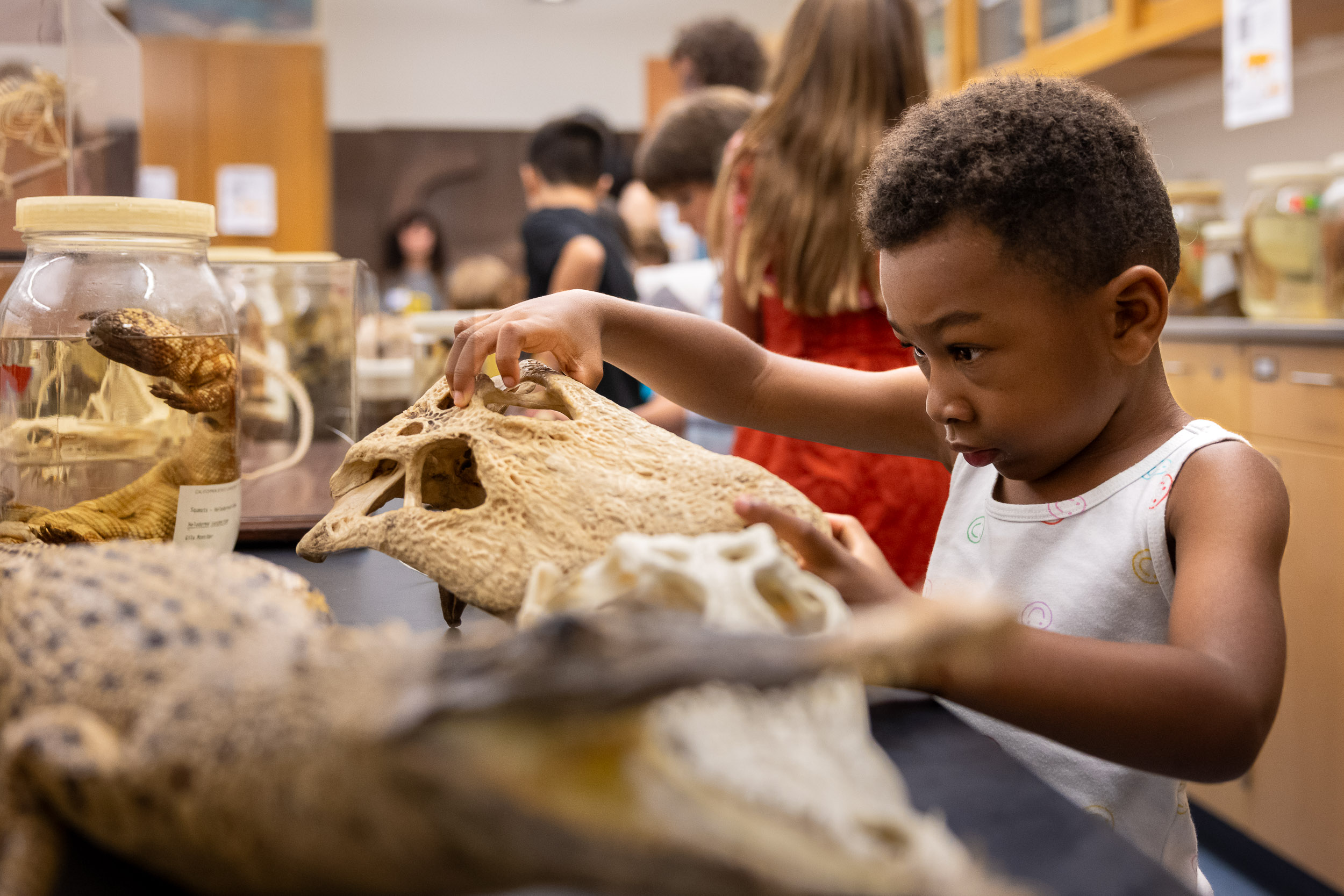 Science exhibits, Shark Lab offer young minds the thrill of discovery ...
