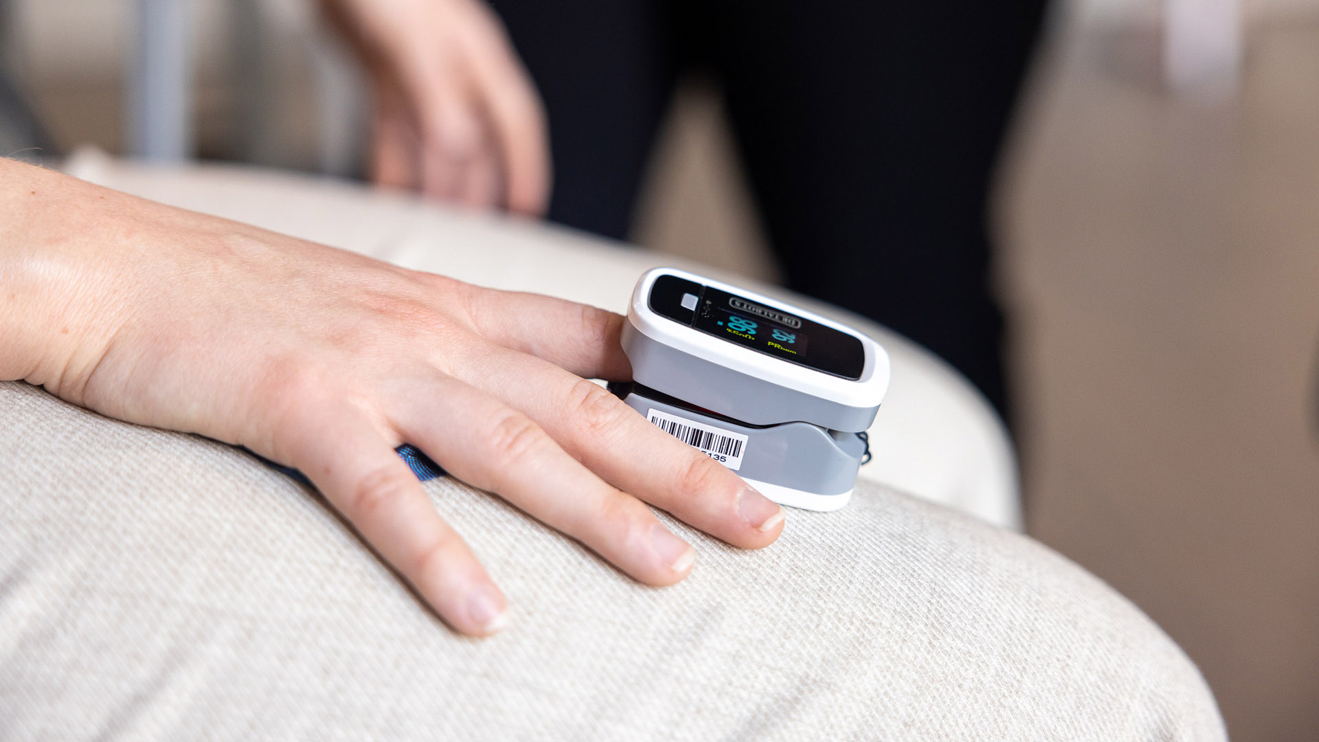 Fall 2024 resource guide: What's new on CSULB campus | California State ...