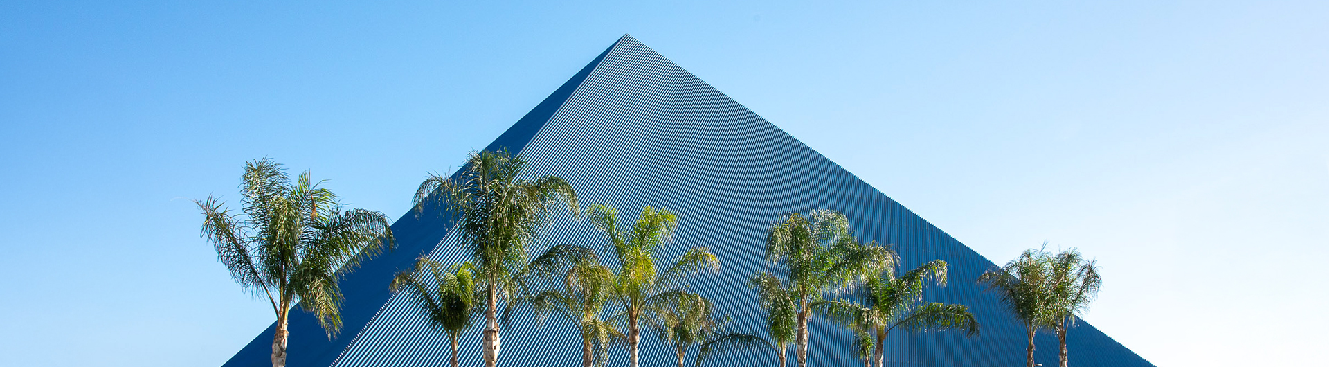 Foster, Hara ‘82 join CSULB 49er Foundation Board | California State ...