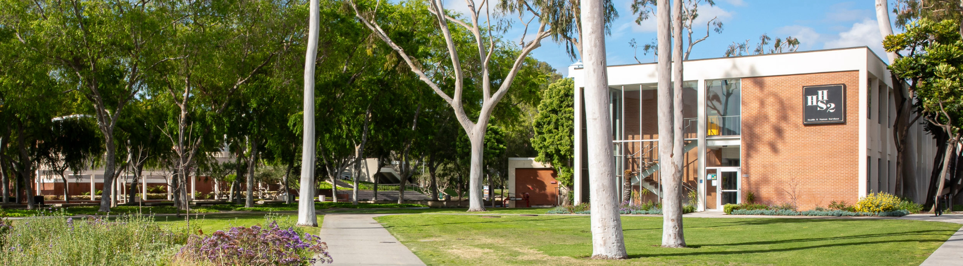 CSULB to introduce a Doctor of Public Health degree in fall 2025 ...