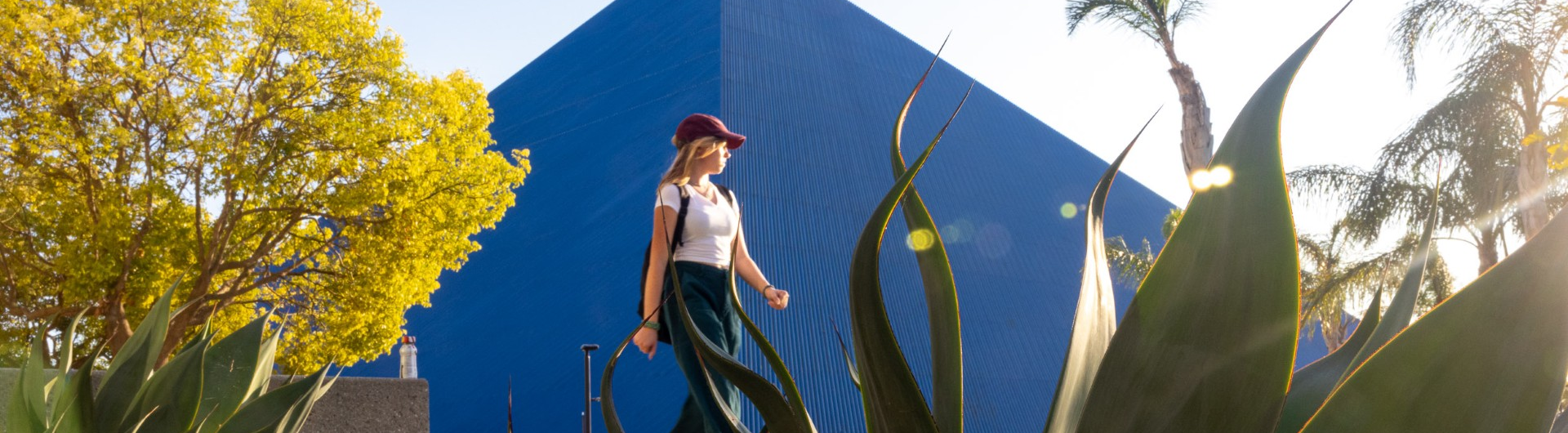 Admissions | California State University Long Beach