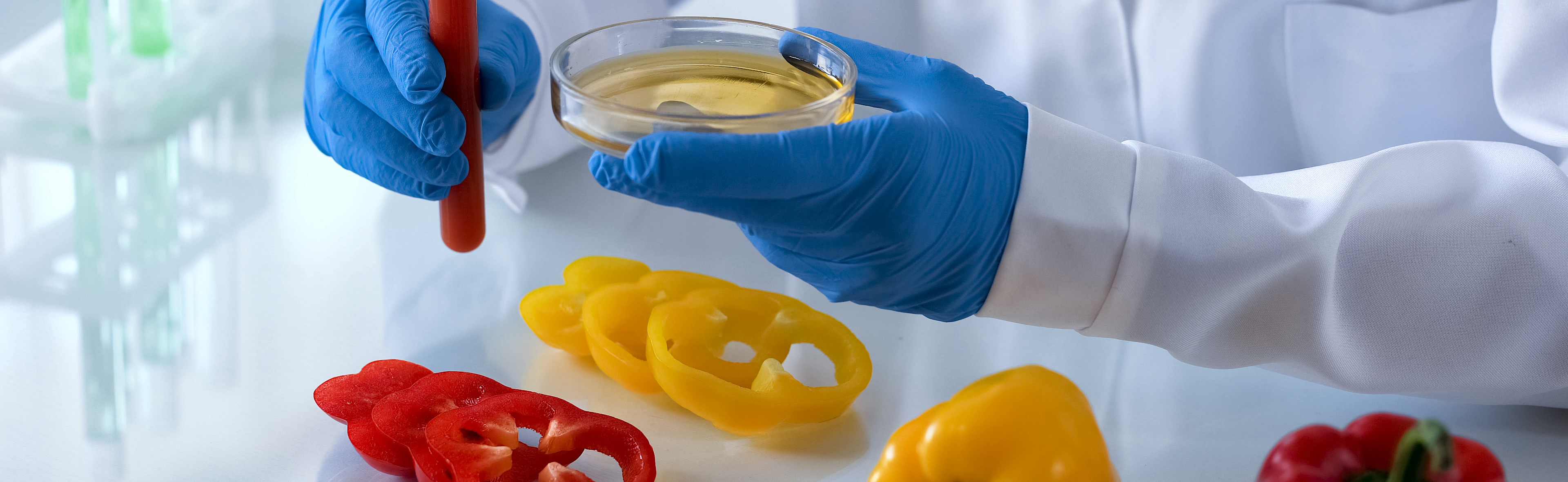 M.S. Program in Nutritional Science | California State University Long ...