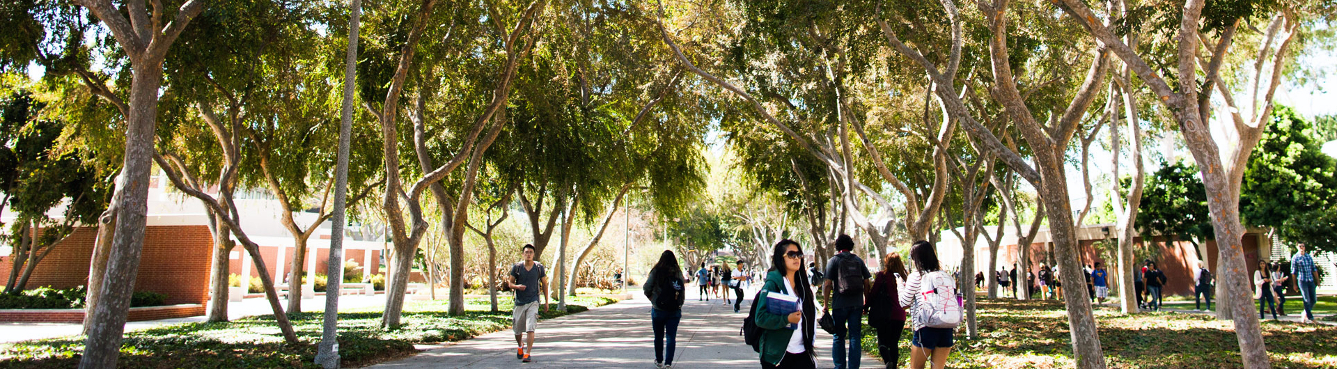 Didactic Program in Dietetics (DPD) | California State University Long ...