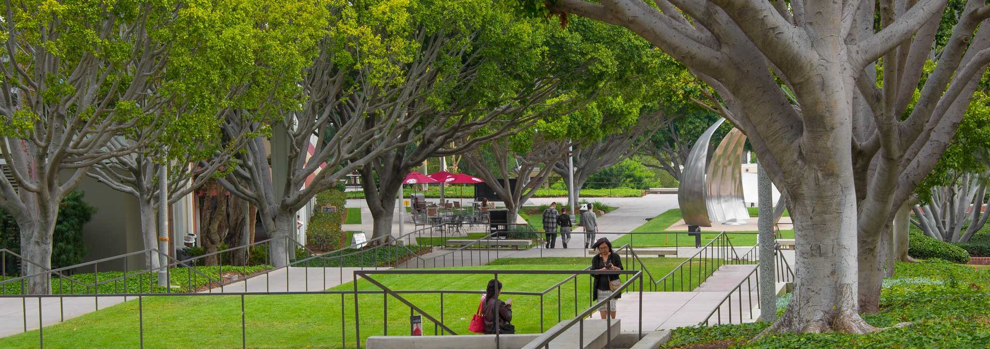 Nearly 90,000 Applications | California State University Long Beach