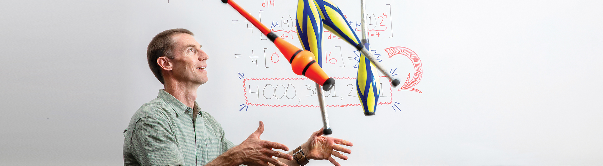 Fellows of the College of Natural Sciences and Mathematics | California ...