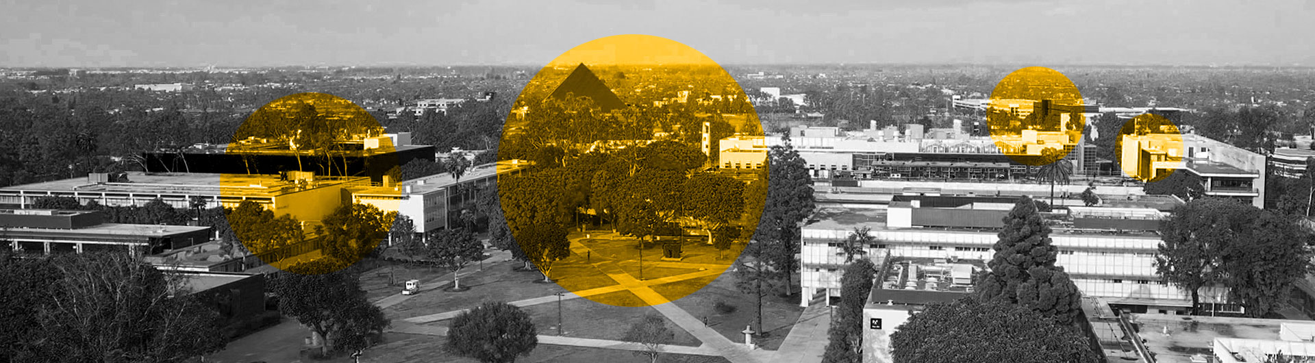 Beach Report: People Making News at CSULB | California State University ...
