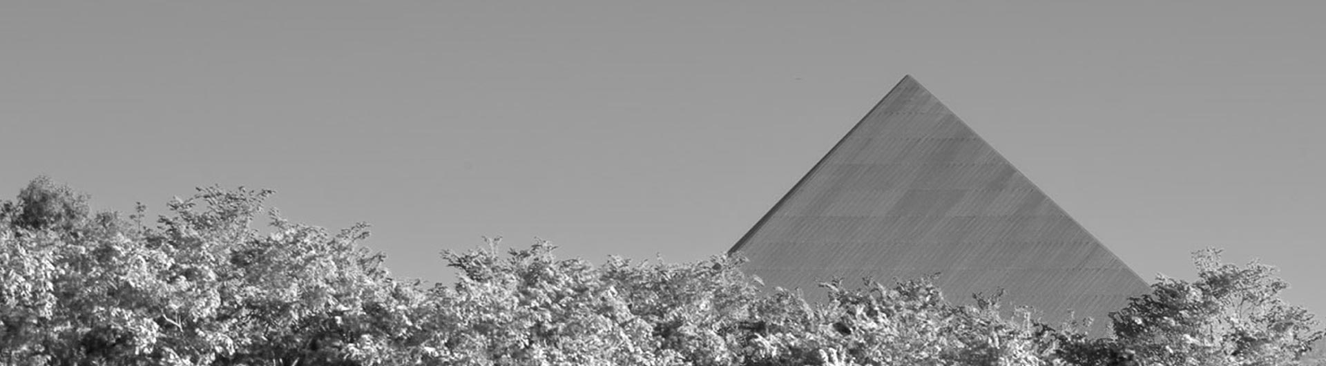 Earth Month at the Beach | California State University Long Beach