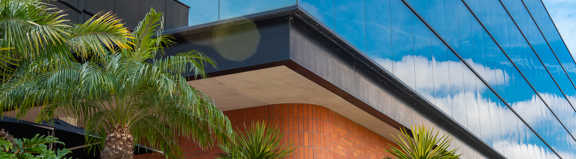 Making Waves: July 2024 | California State University Long Beach