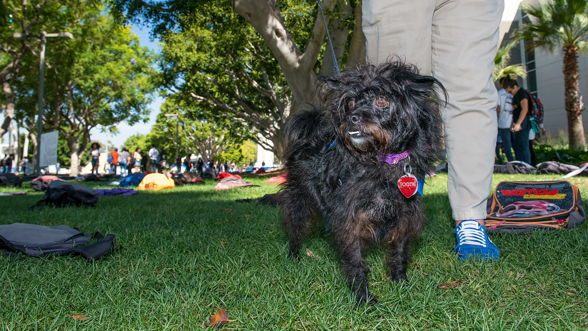 Ending the silence | California State University Long Beach
