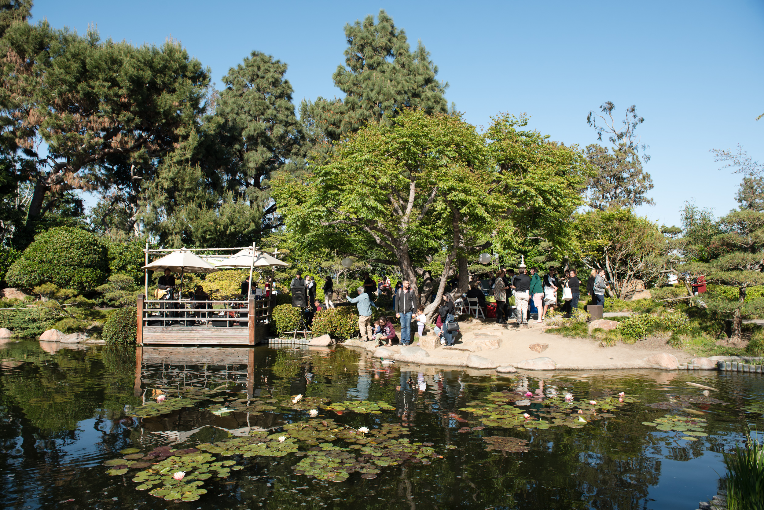 External News | California State University Long Beach