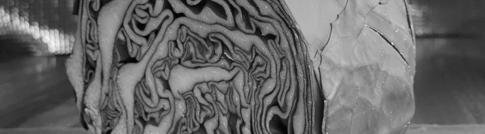 David Waldman – Film and Electronic Arts – Lighting - Online Course ...