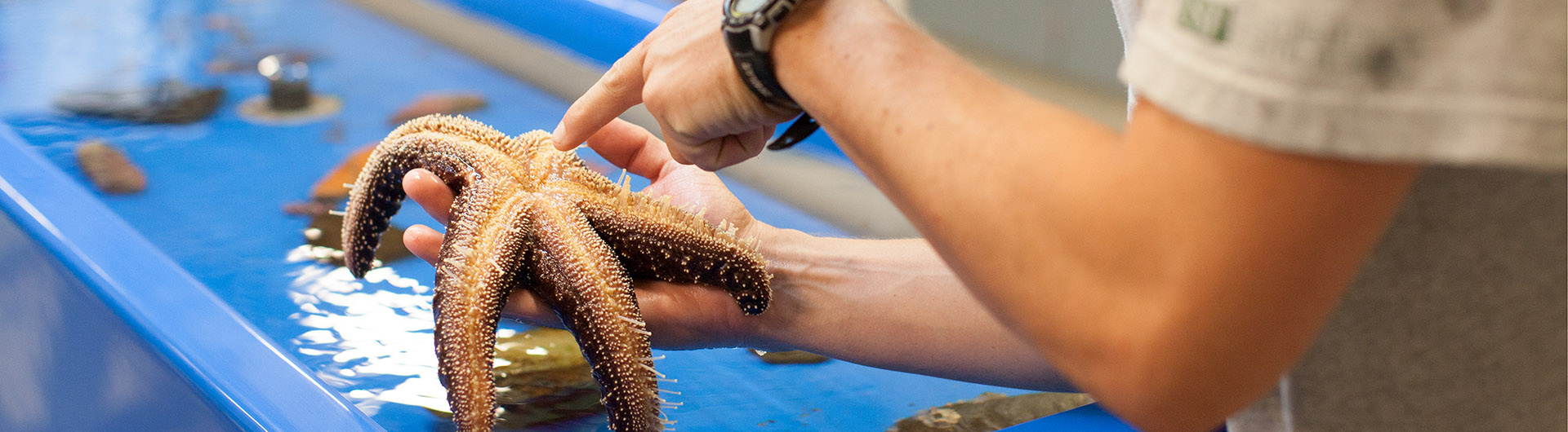 Shark Lab gets financial boost | California State University Long Beach