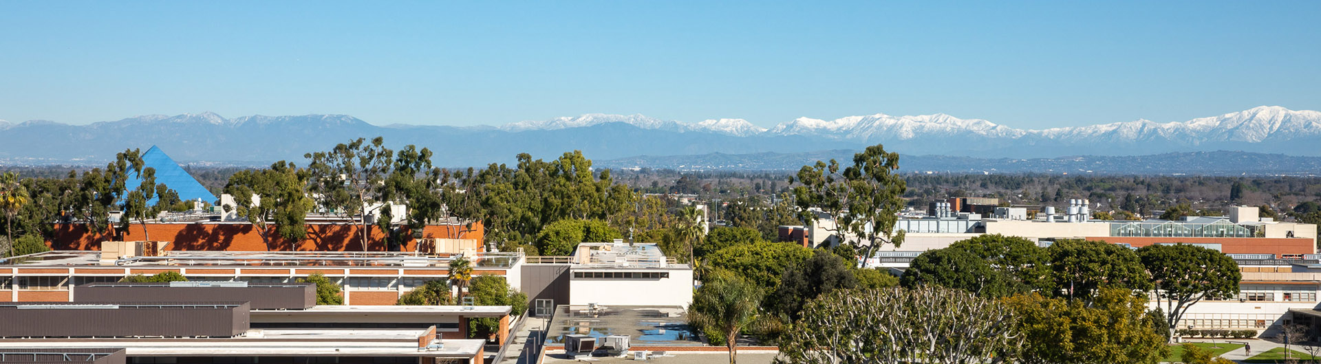 2021 in Review: CSULB’s top stories of the year | California State ...