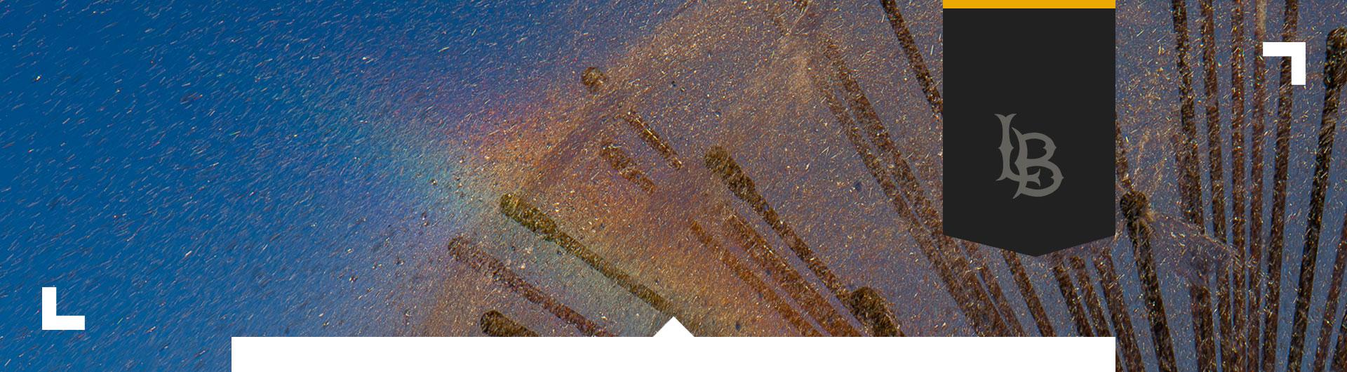 University Relations and Development | California State University Long ...