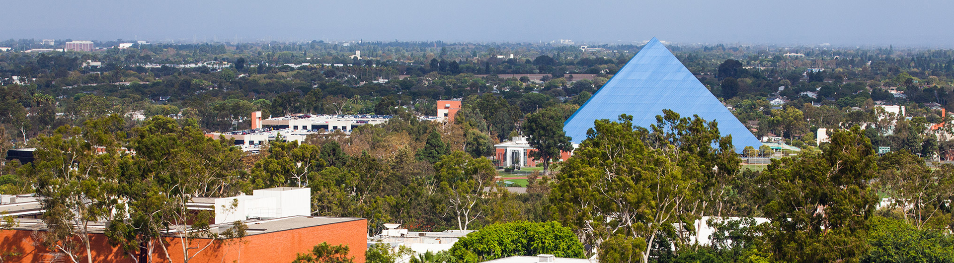 M.S. Health Care Administration | California State University Long Beach