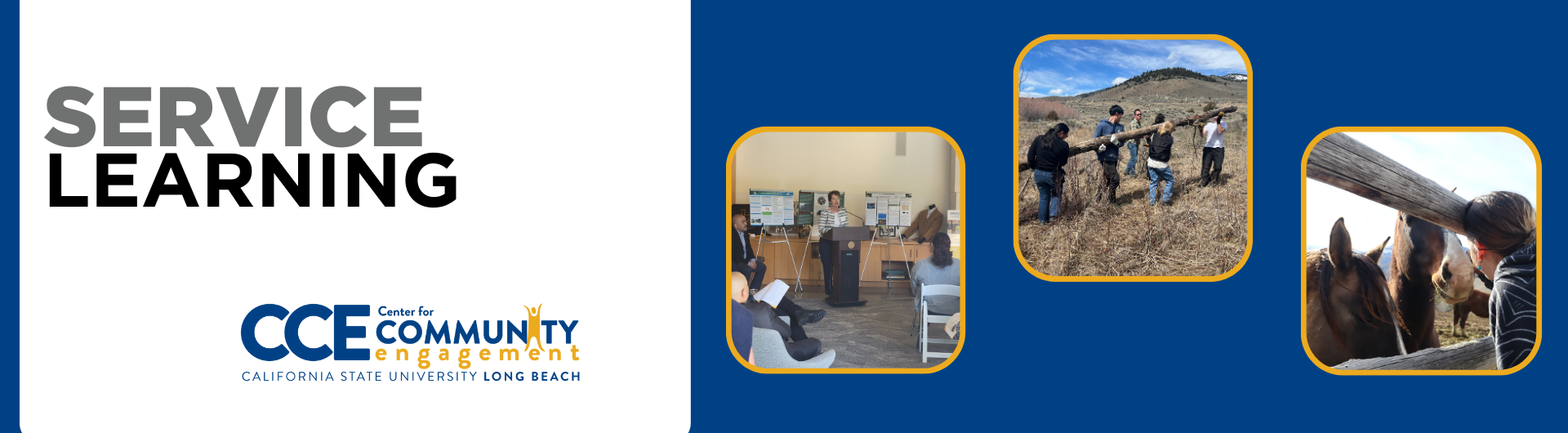 | California State University Long Beach