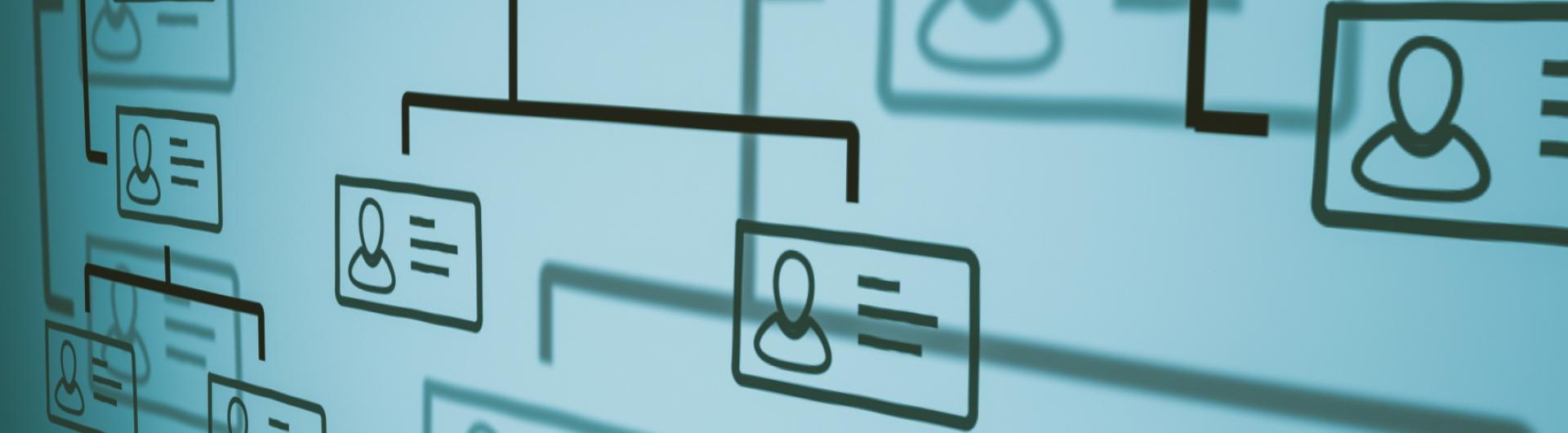 Organization Chart | California State University Long Beach