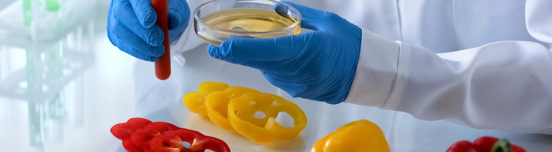 M.S. Program in Nutritional Science | California State University Long ...