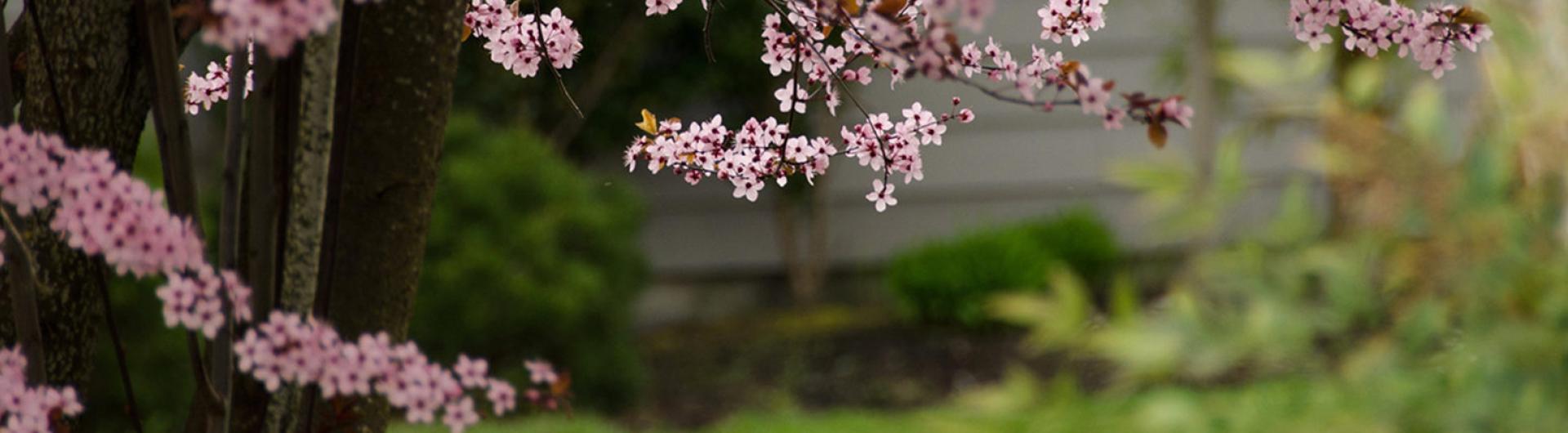 Advising | California State University Long Beach