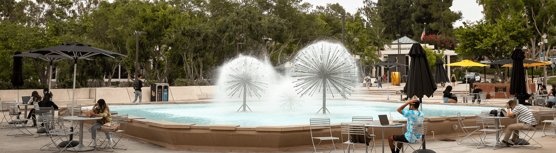 Degrees & Programs | California State University Long Beach