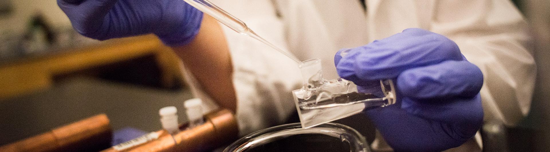 Welcome Hispanic Stem Students | California State University Long Beach