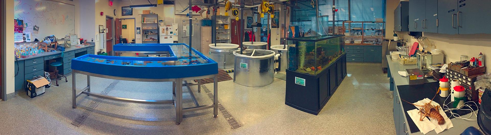 Facilities - Marine Biology - Biological Sciences Department ...