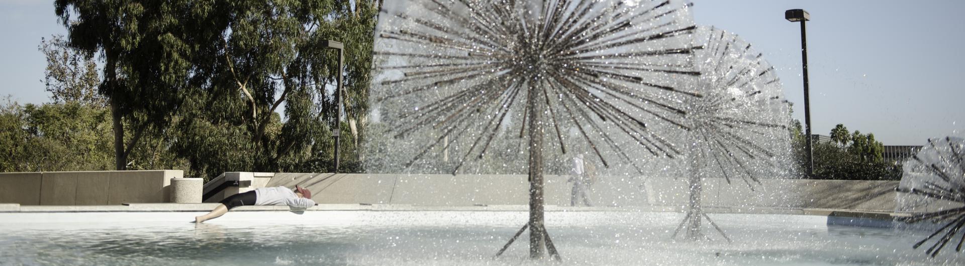 Where to nap during finals | California State University Long Beach