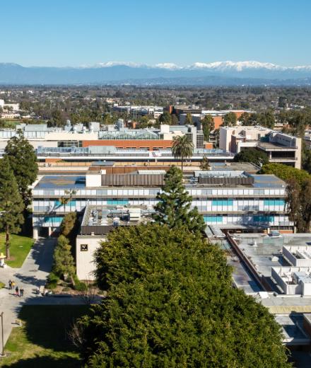 California State University, Long Beach