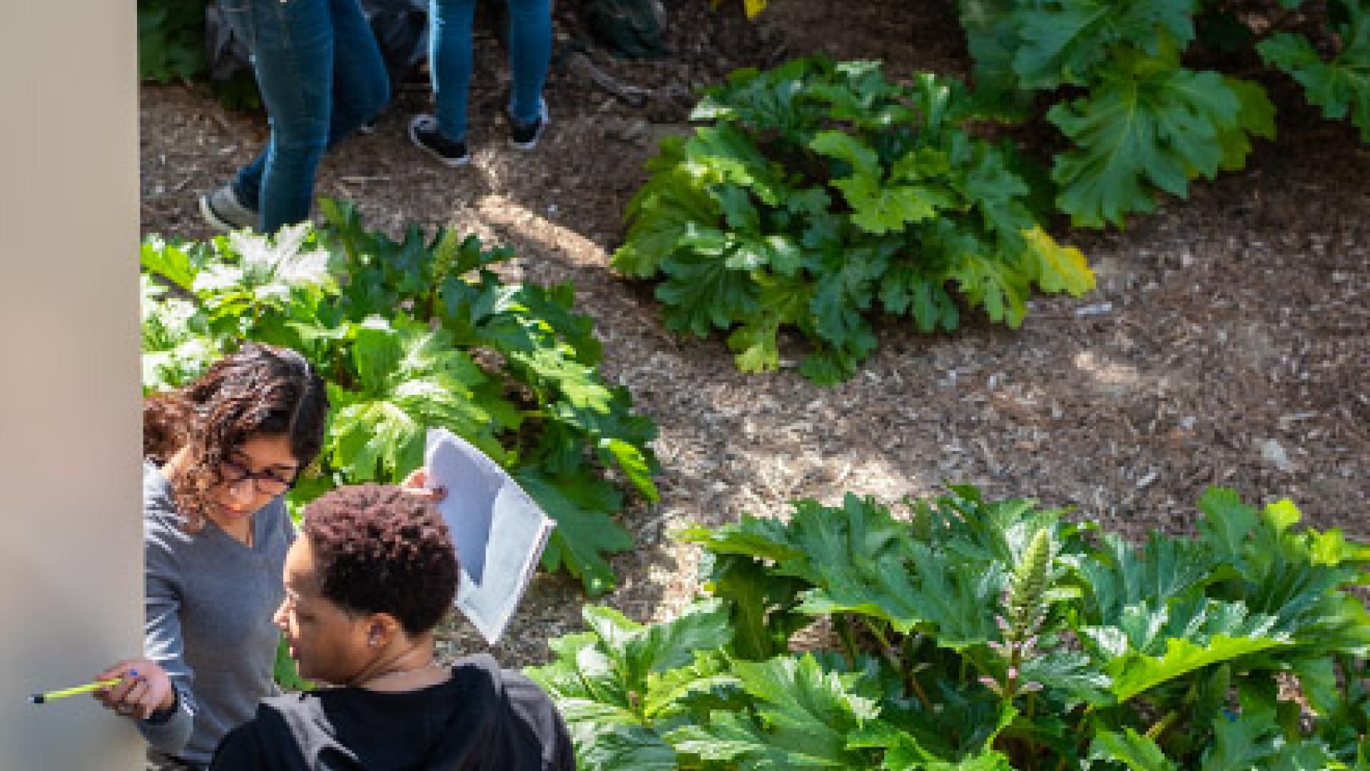 Students solve forensic mysteries in CSI Lab | California State ...