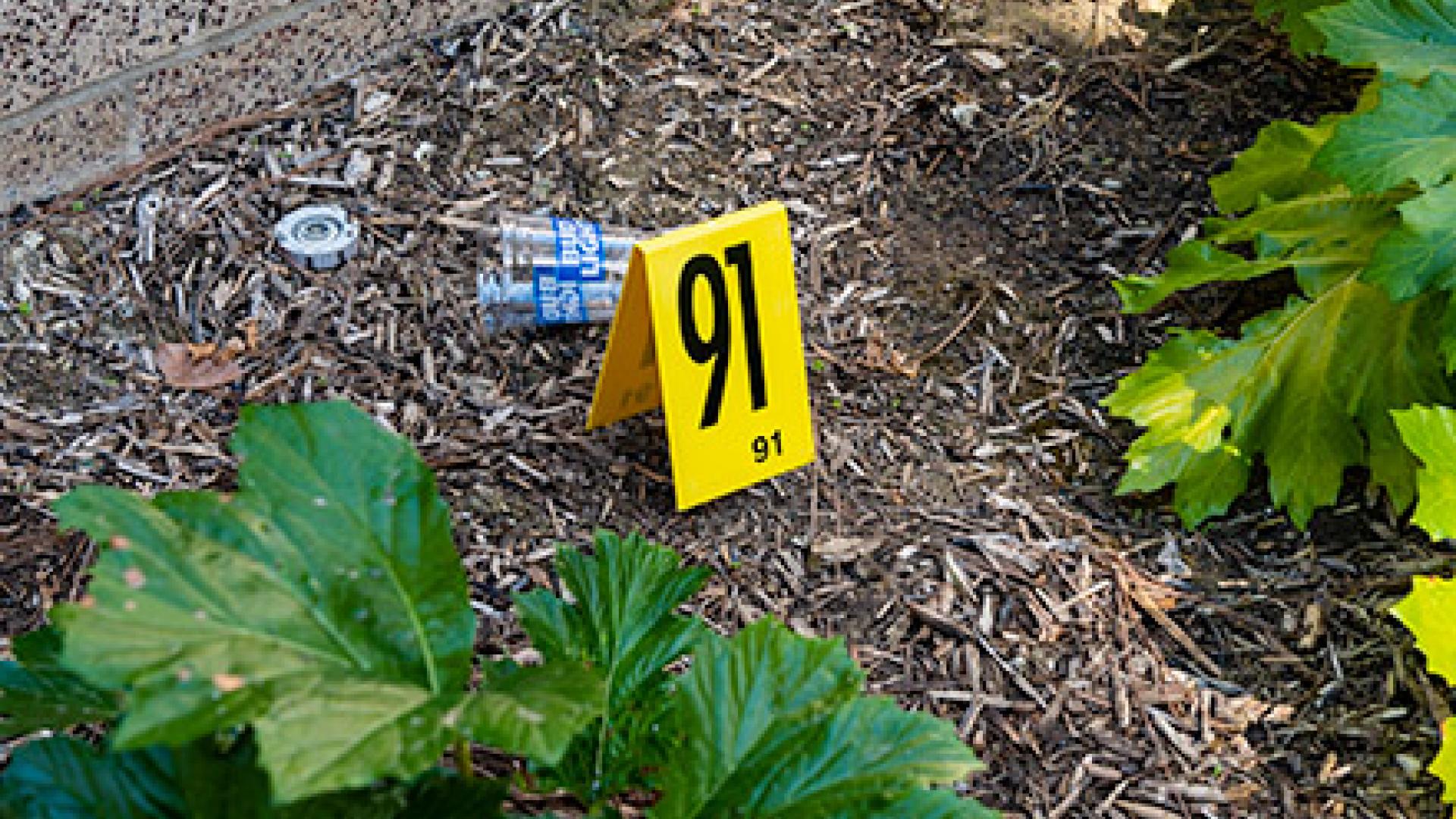 Students solve forensic mysteries in CSI Lab | California State ...
