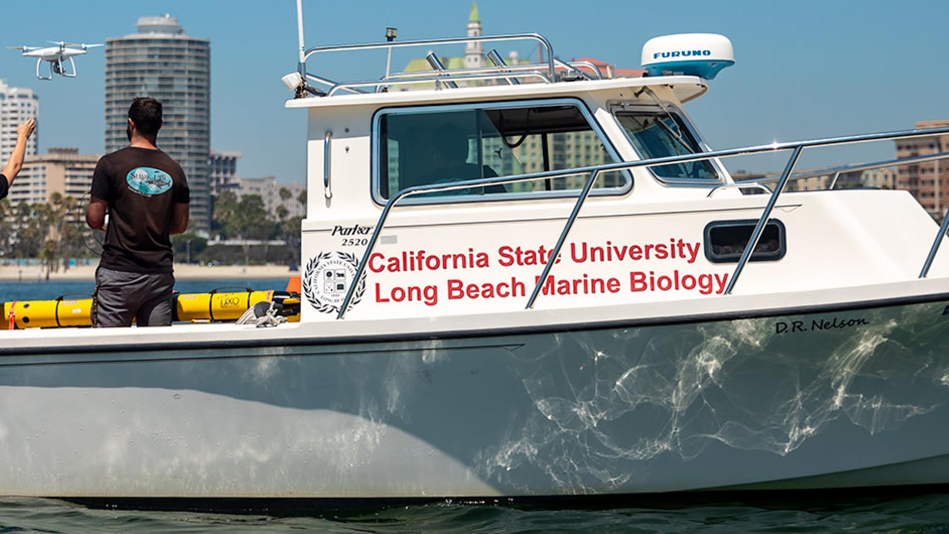 Dr. Chris Lowe adds new arsenal in his study of sharks | California ...