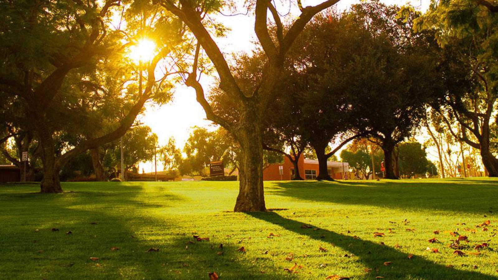 Mathematics & Statistics | California State University Long Beach