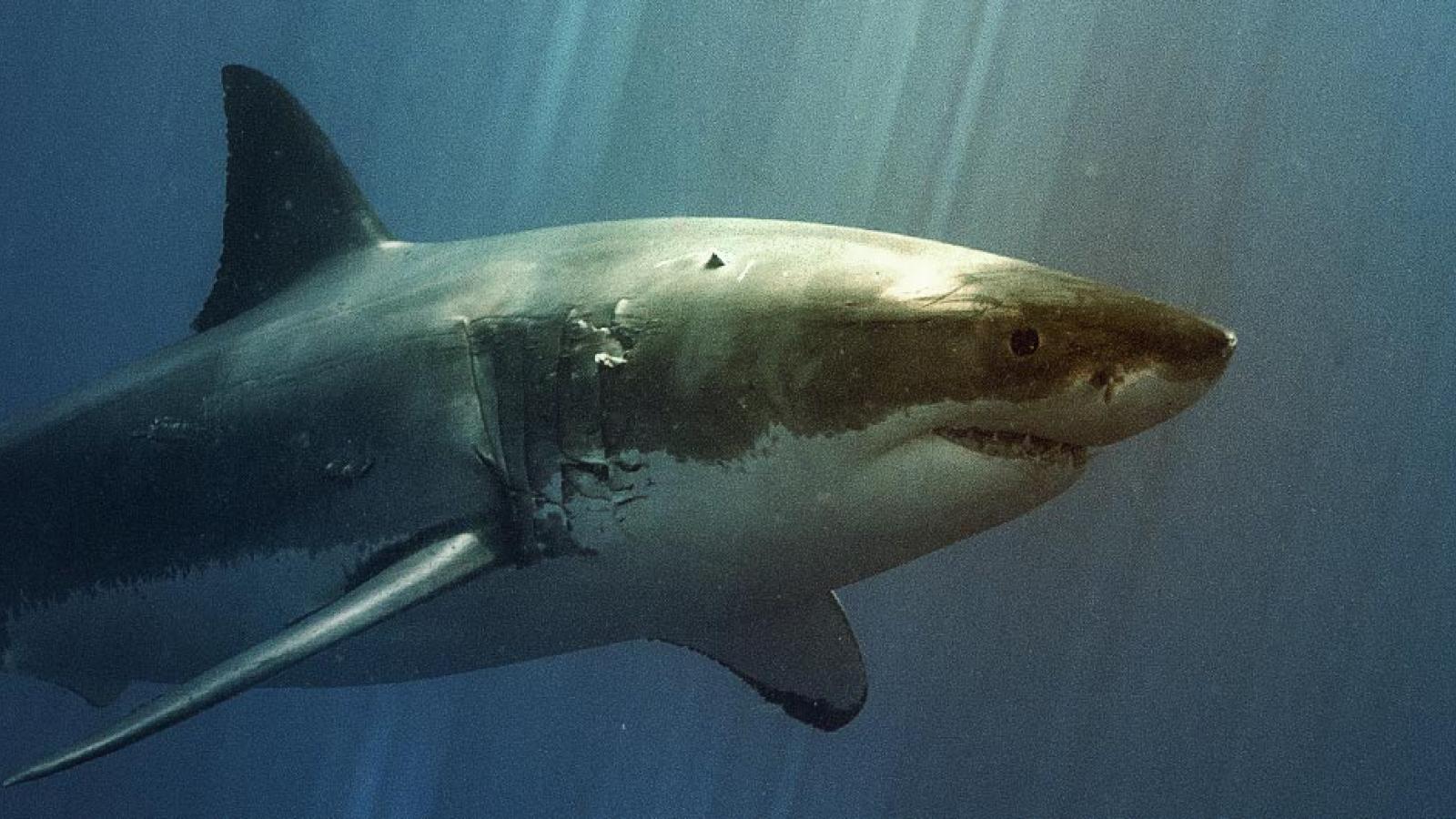 College of Natural Sciences and Mathematics | California State ...