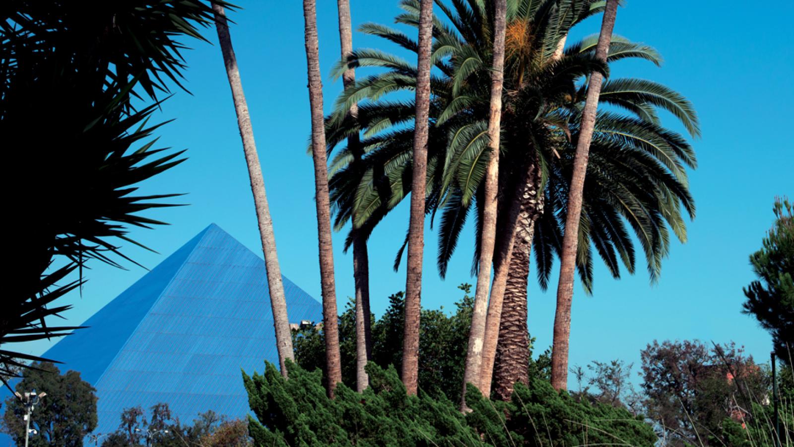 Student Center for Professional Development (SCPD) | California State ...