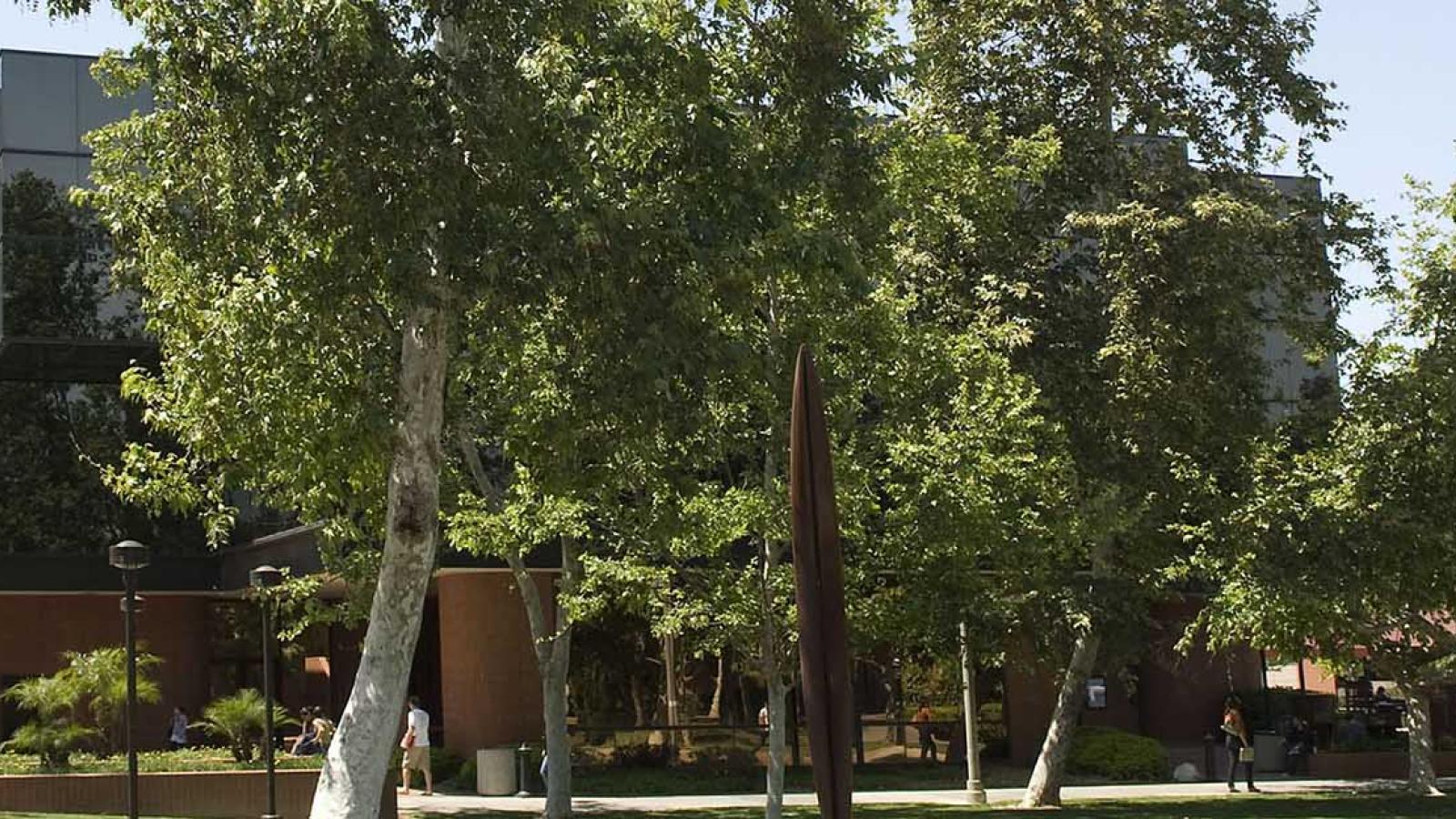 Student Center for Professional Development (SCPD) | California State ...