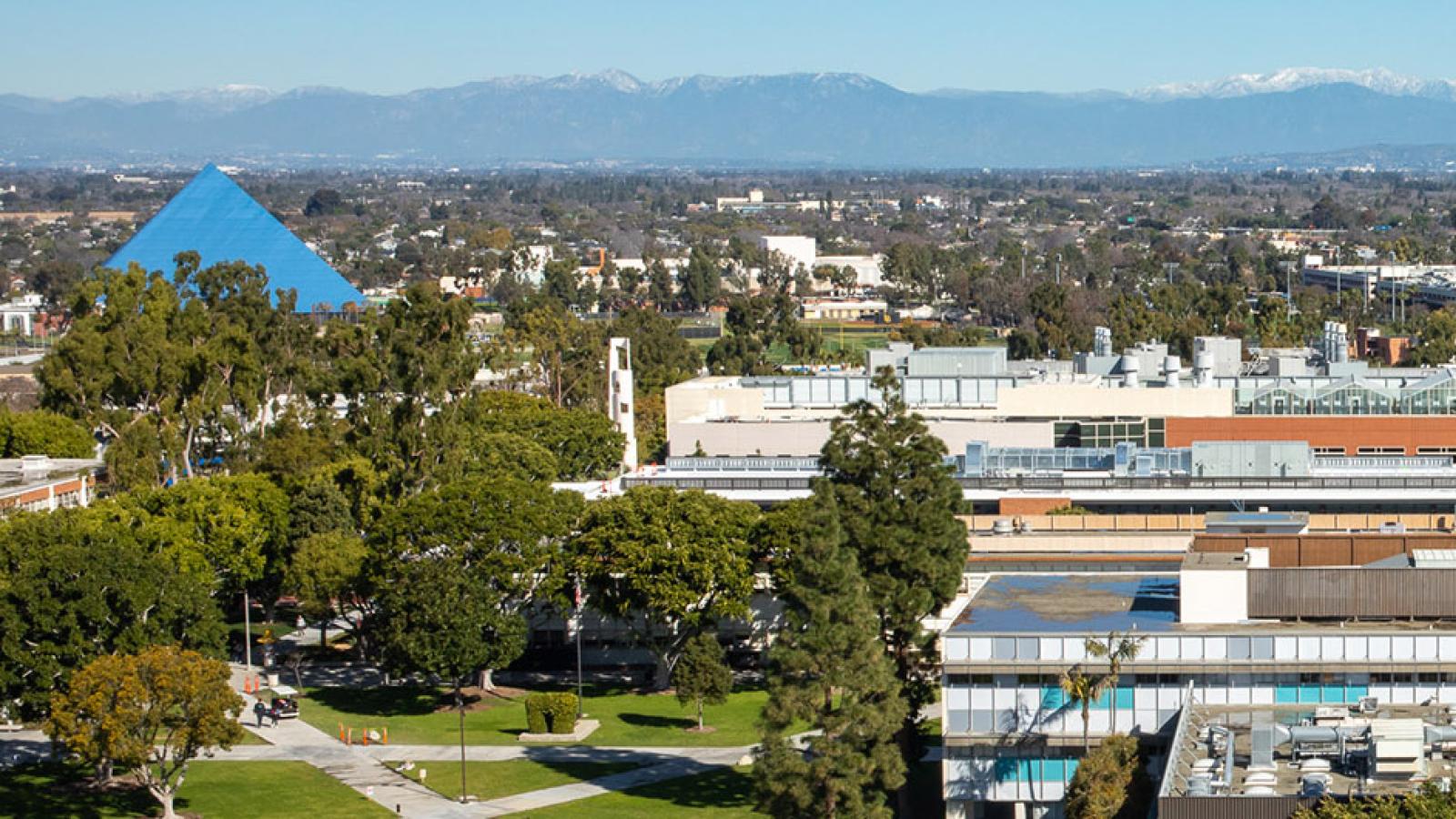 News | California State University Long Beach