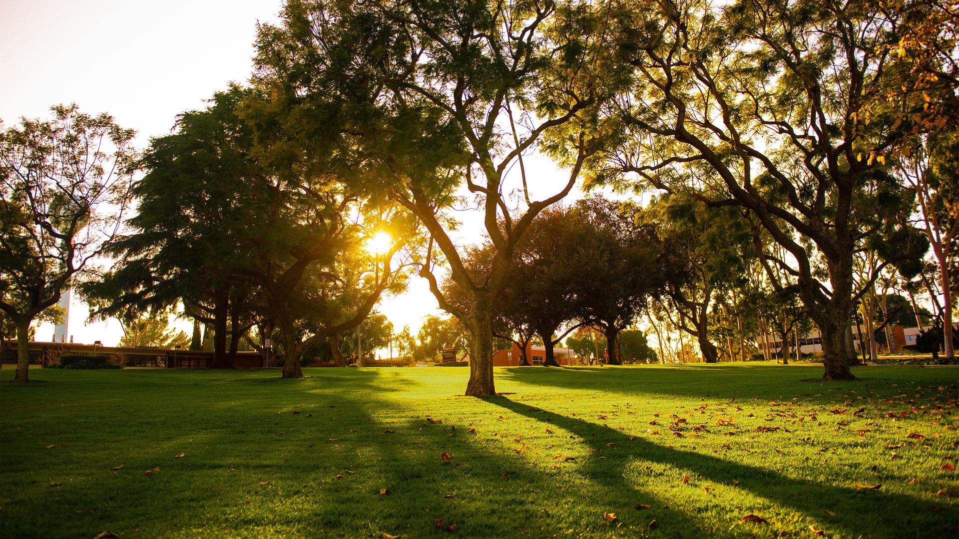 California State University, Long Beach