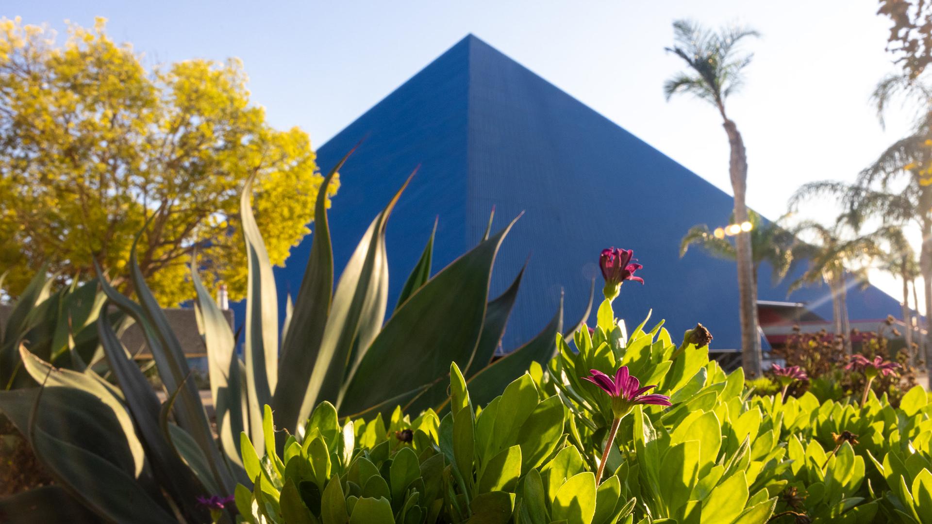 California State University, Long Beach